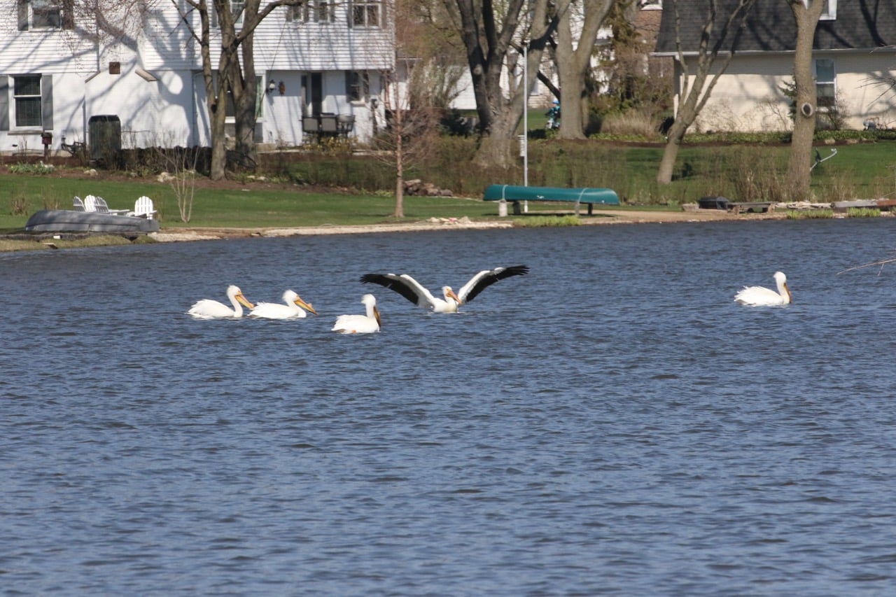 Fox Point Update: June 2024 Edition - Fox Point Homeowners Association